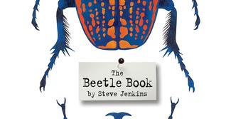 The Nonfiction Detectives: The Beetle Book by Steve Jenkins