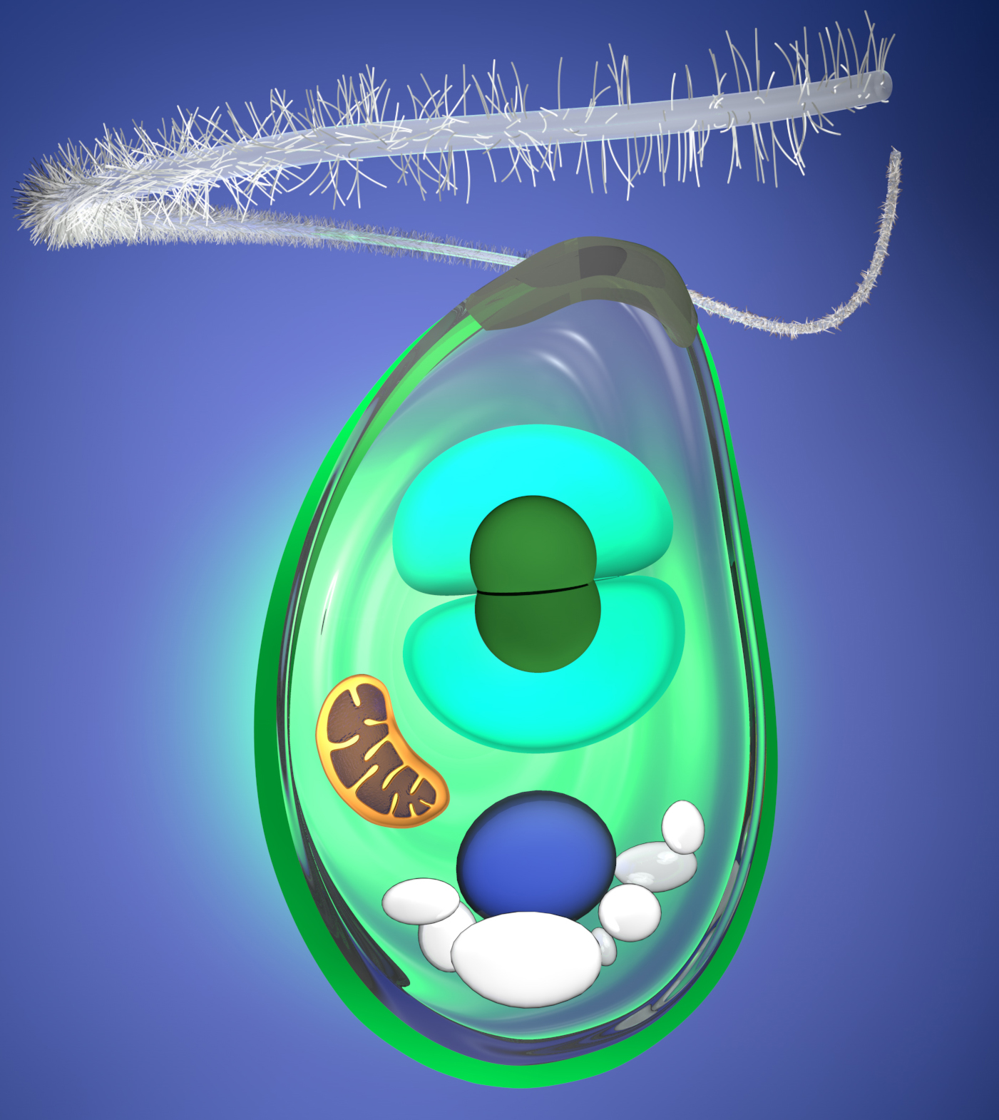 PALAEOBLOG The Origin Of Photosynthesis palaeoblog-the-origin-of-photosynthesis