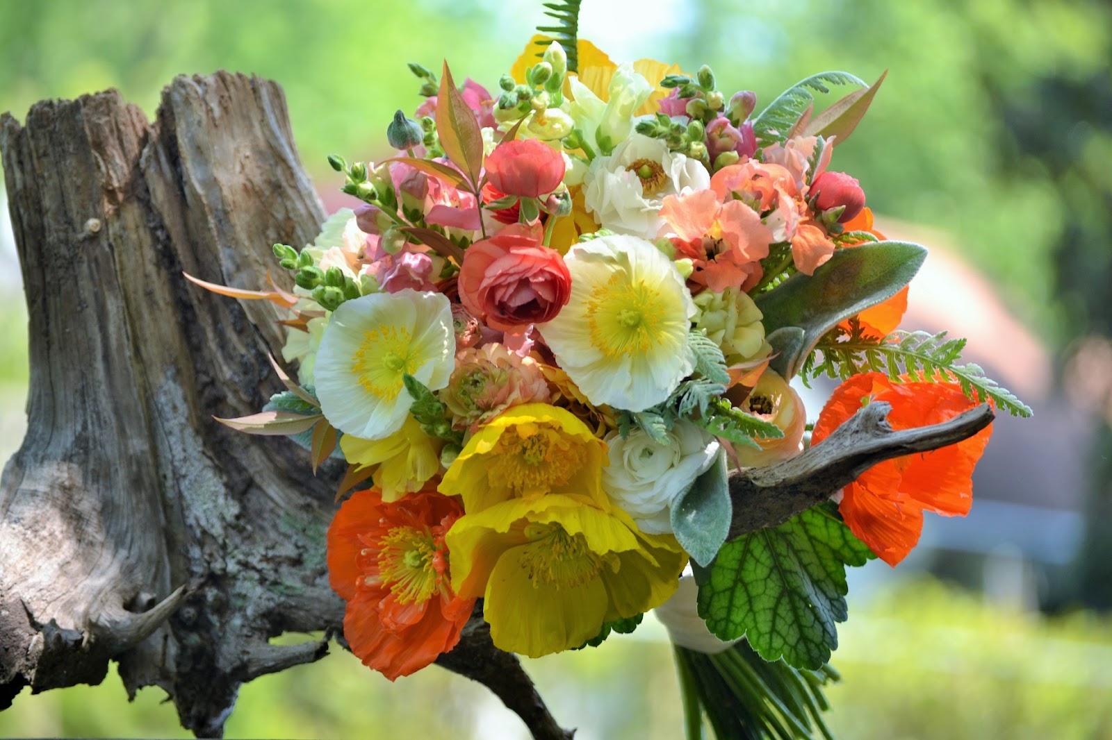 Wedding Flowers from Springwell: Poppies Make a Statement in Springtime ... Wedding Flowers from Springwell: Poppies Make a Statement in Springtime ...