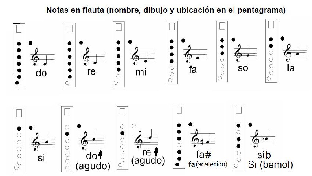 Profesor Nicolás Fontana: Notas en flauta
