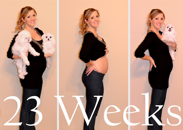 How Long After Conception Until A Positive Pregnancy Test 23 Weeks how-long-after-conception-until-a-positive-pregnancy-test-23-weeks