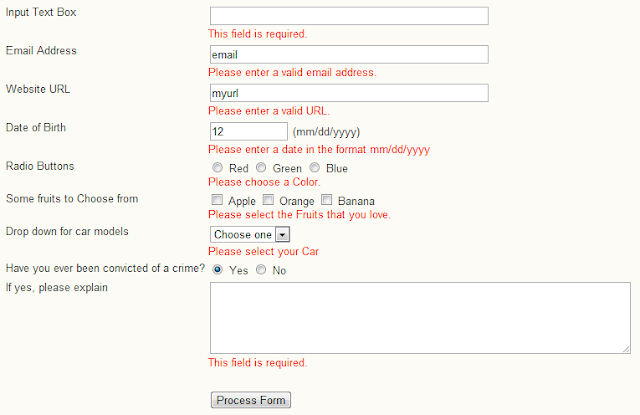 JQuery Form Validation Plugin Example jquery-form-validation-plugin-example