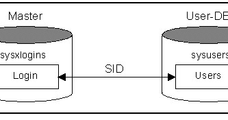 Difference between Logins and Users
