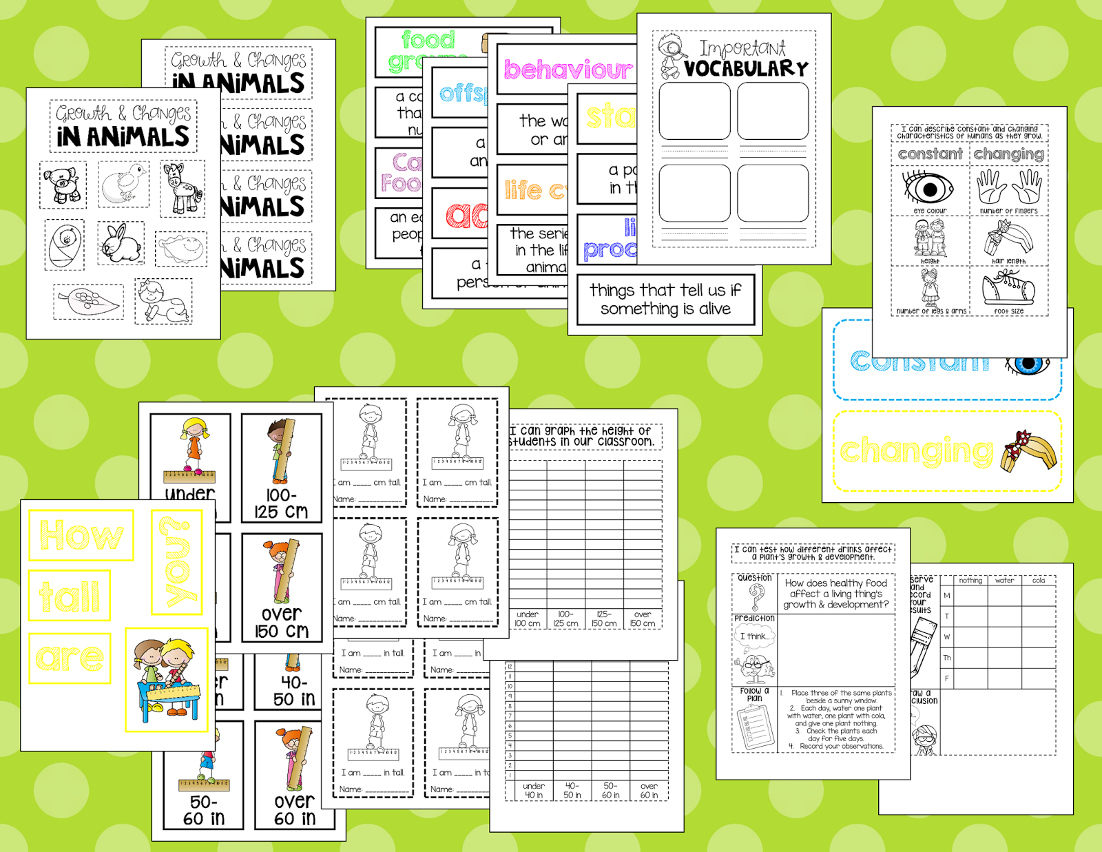 First Grade Garden: Second Grade Interactive Science Journals