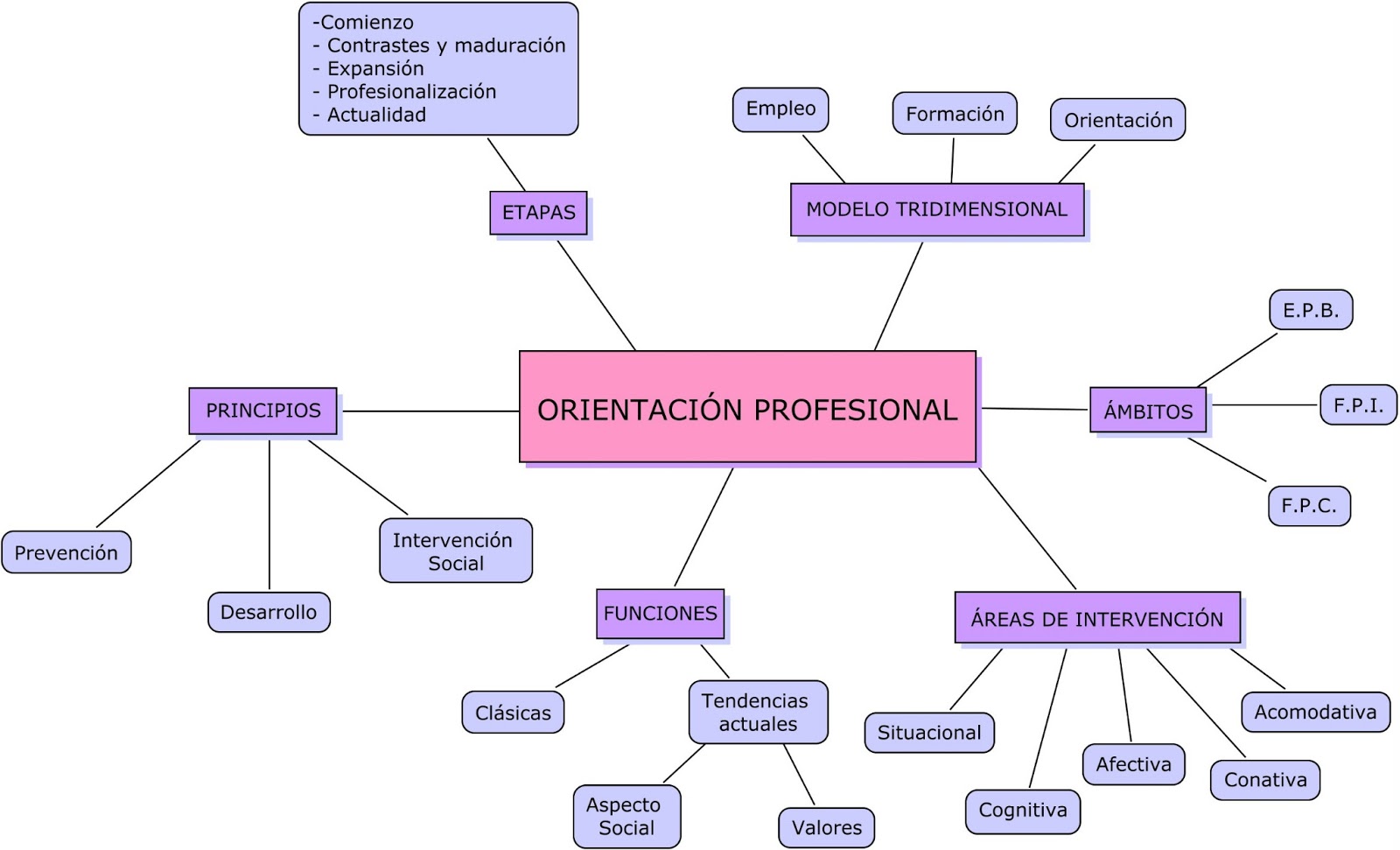 IRIMER ORIENTACIÓN : I