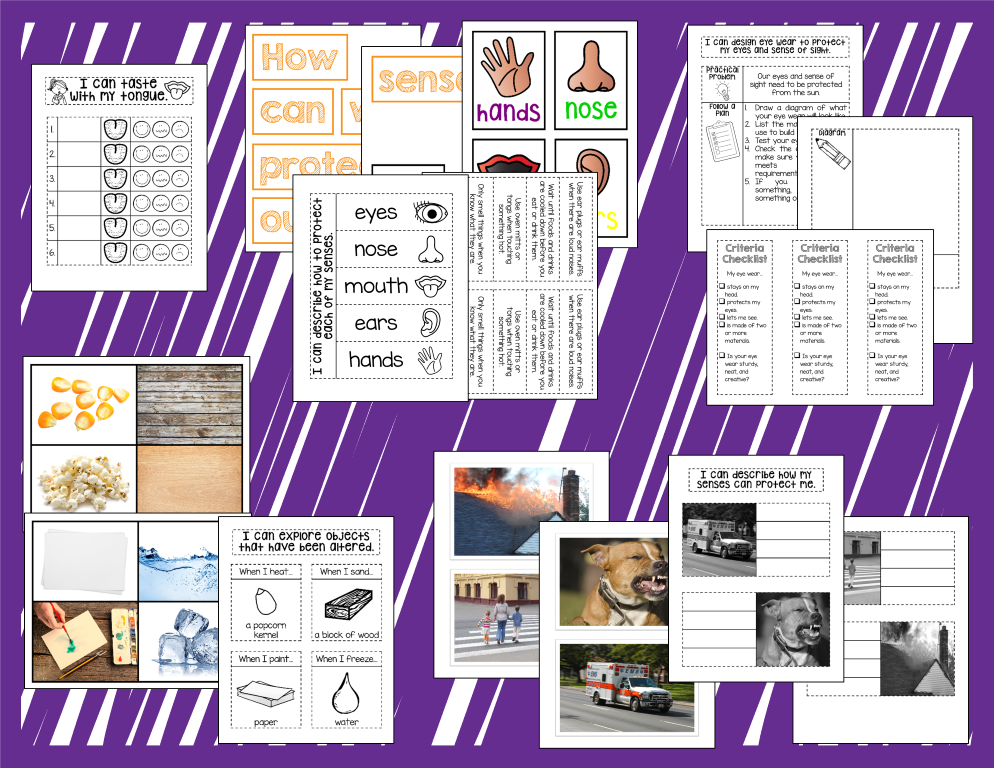 First Grade Garden: Interactive Science Journals Units Two and Three