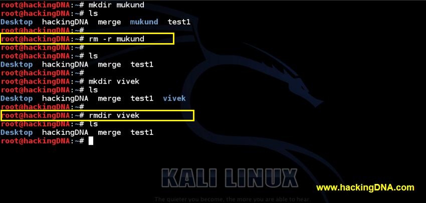 Shell Scripting On Kali Linux | محمد البلوشي Shell Scripting On Kali Linux | محمد البلوشي