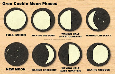 A Middle School Survival Guide: Current Daily Moon Phase