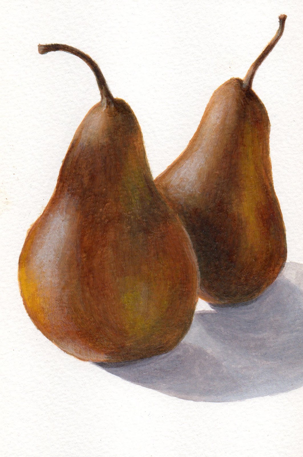 Debbie Shirley Art Taken Aback Pear Still Life Kitchen Art SOLD debbie-shirley-art-taken-aback-pear-still-life-kitchen-art-sold