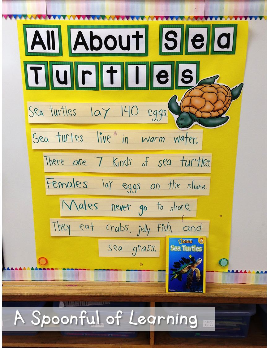 Ocean Unit Study - A Spoonful of Learning