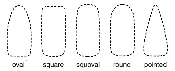 PassionForPolish: How To: Shape Your Nails