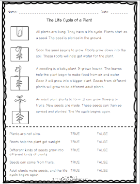 The First Grade Scoop: Plants Unit, Currently April, and a FREEBIE!