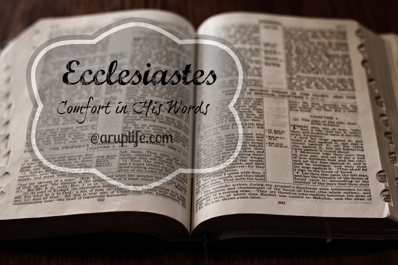 A RUP LIFE E Is For Ecclesiastes abcblogging a-rup-life-e-is-for-ecclesiastes-abcblogging