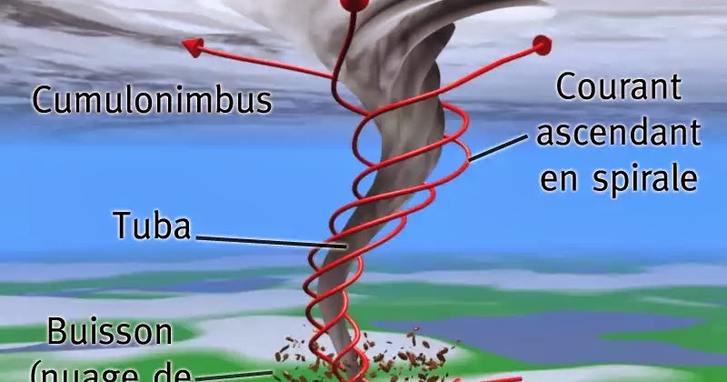 T.P.E 1ere S : Tornades: PRESENTATION DE LA TORNADE