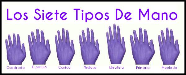 BRUJITAS HABILIDOSAS EN LA WEB: Quironimia: Siete tipos de manos y sus rasgos