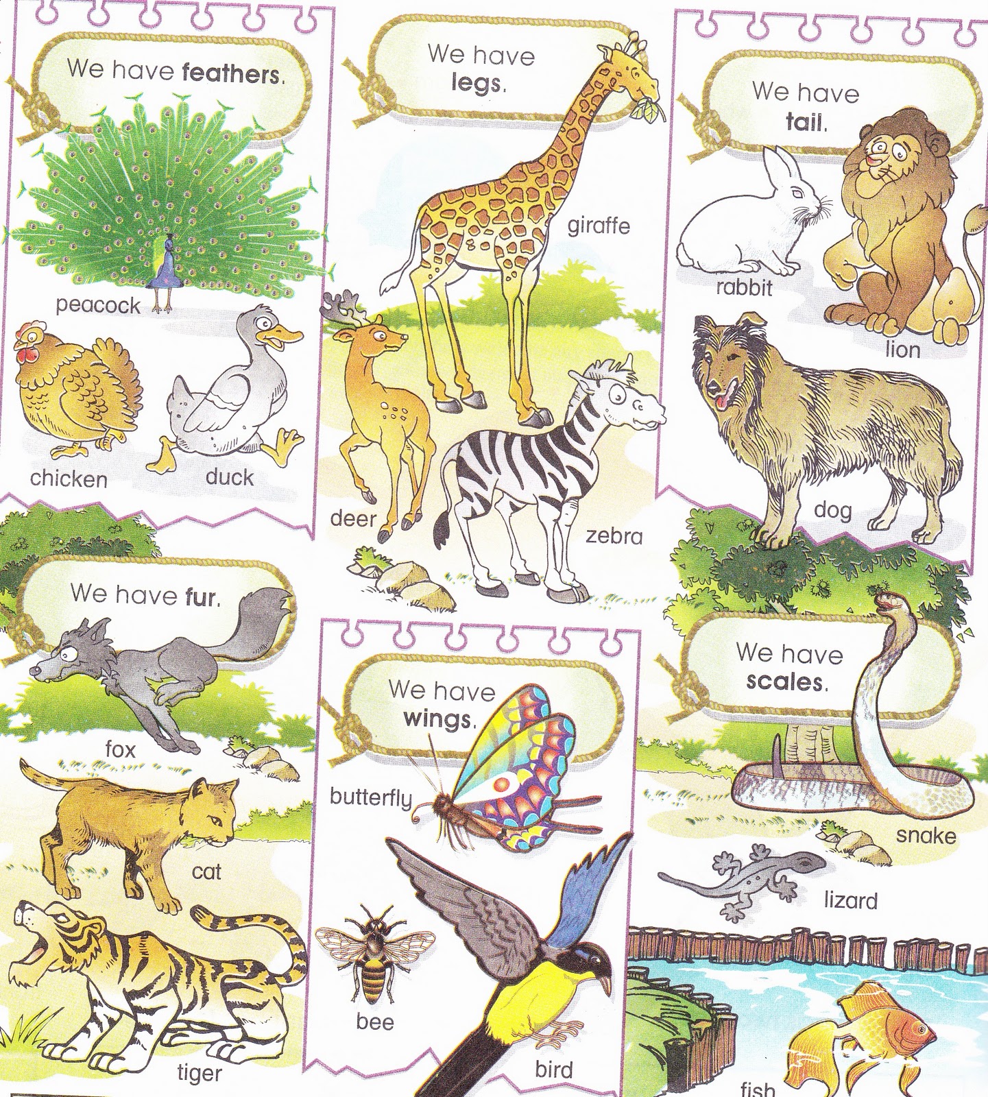 LIM LAI FONG (D20102043844) Science Year 3: Unit 1 : External Features ...