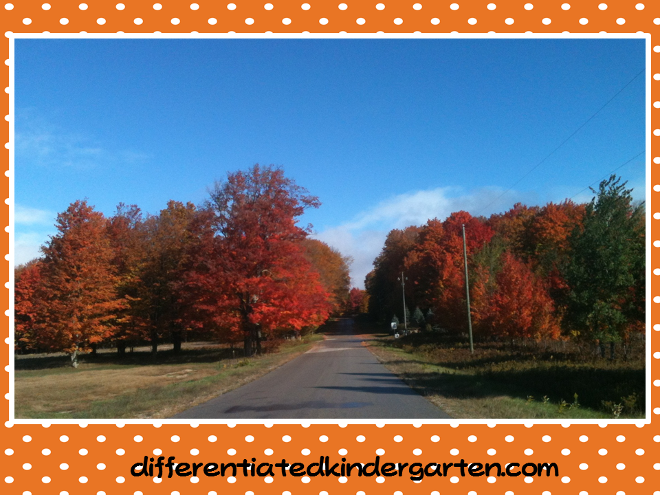 Planning Autumn Math Stations - Differentiated Kindergarten