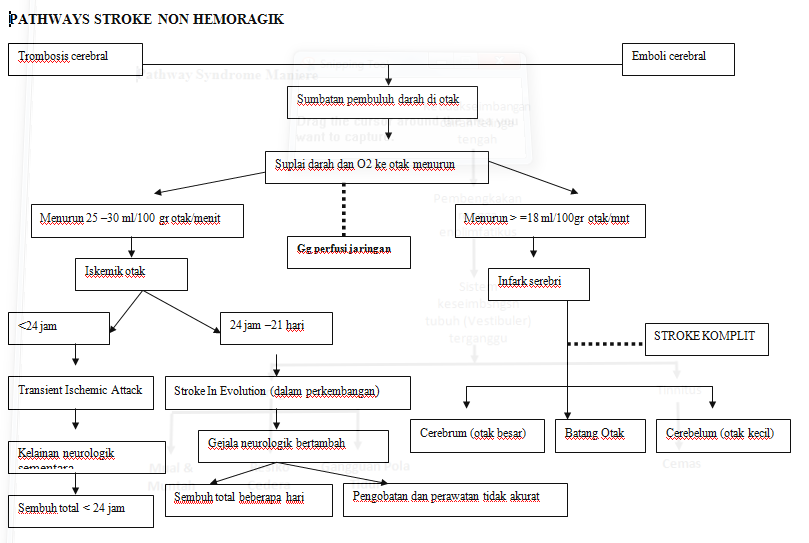 DUNIA KESEHATAN: ASKEP STROKE NON HEMORAGIC