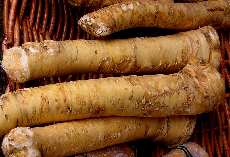Horseradish Roots Horseradish Juice Health Benefits Health Fitness Tips horseradish-roots-horseradish-juice-health-benefits-health-fitness-tips