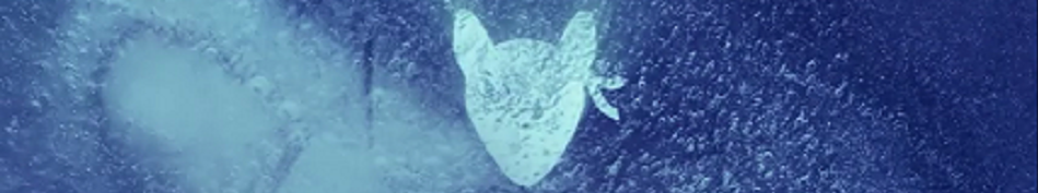 All the tweaks in the world news - Teratrons From Outer Space - ModDB