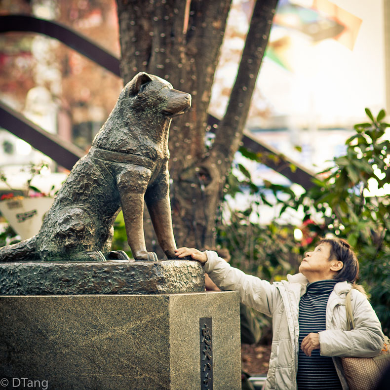 La estatua de Hachiko: Un monumento al perro más leal de la historia | Japón - RUTA 33