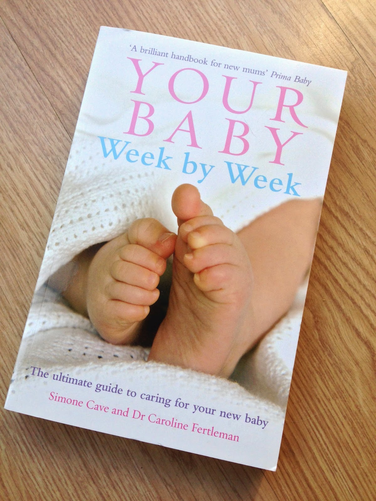 I Am Mumalicious Your Baby Week By Week Book Review i-am-mumalicious-your-baby-week-by-week-book-review