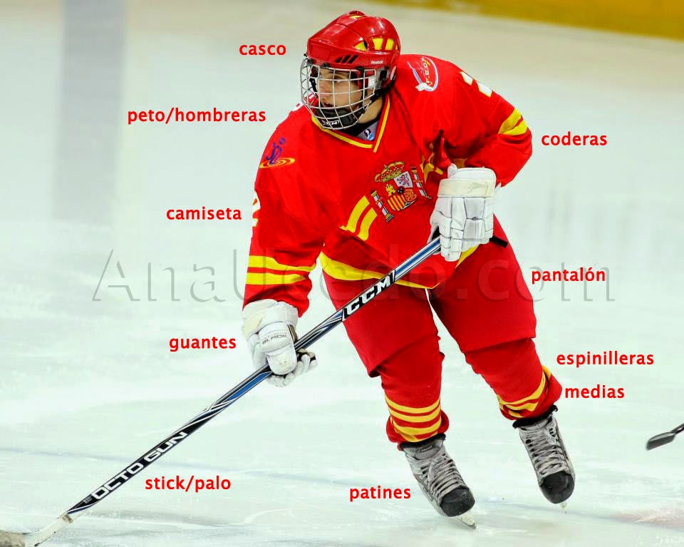 hockey linea: equipacion del jugador