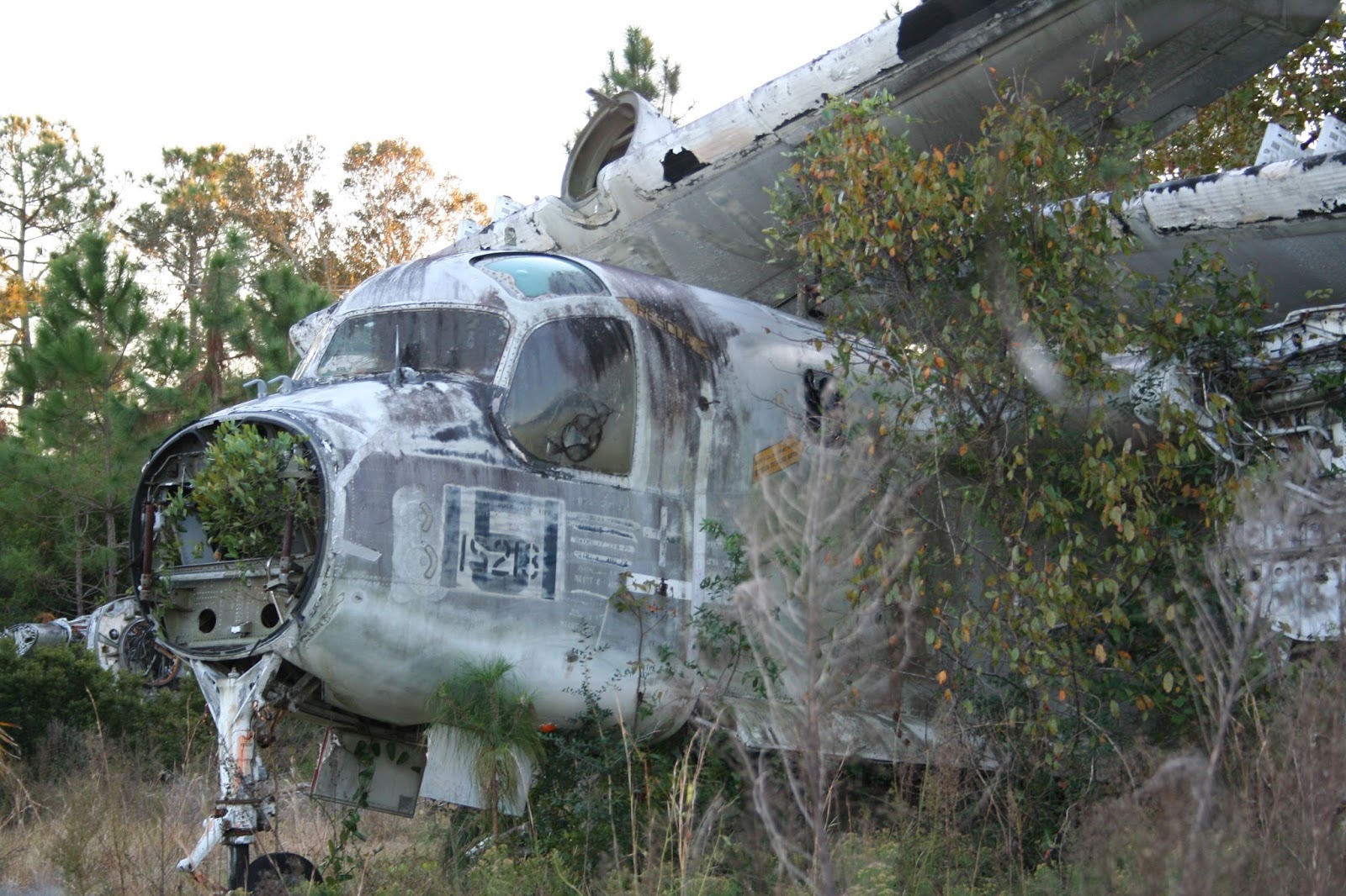The Carpetbagger: Abandoned Airplane Graveyard The Carpetbagger: Abandoned Airplane Graveyard
