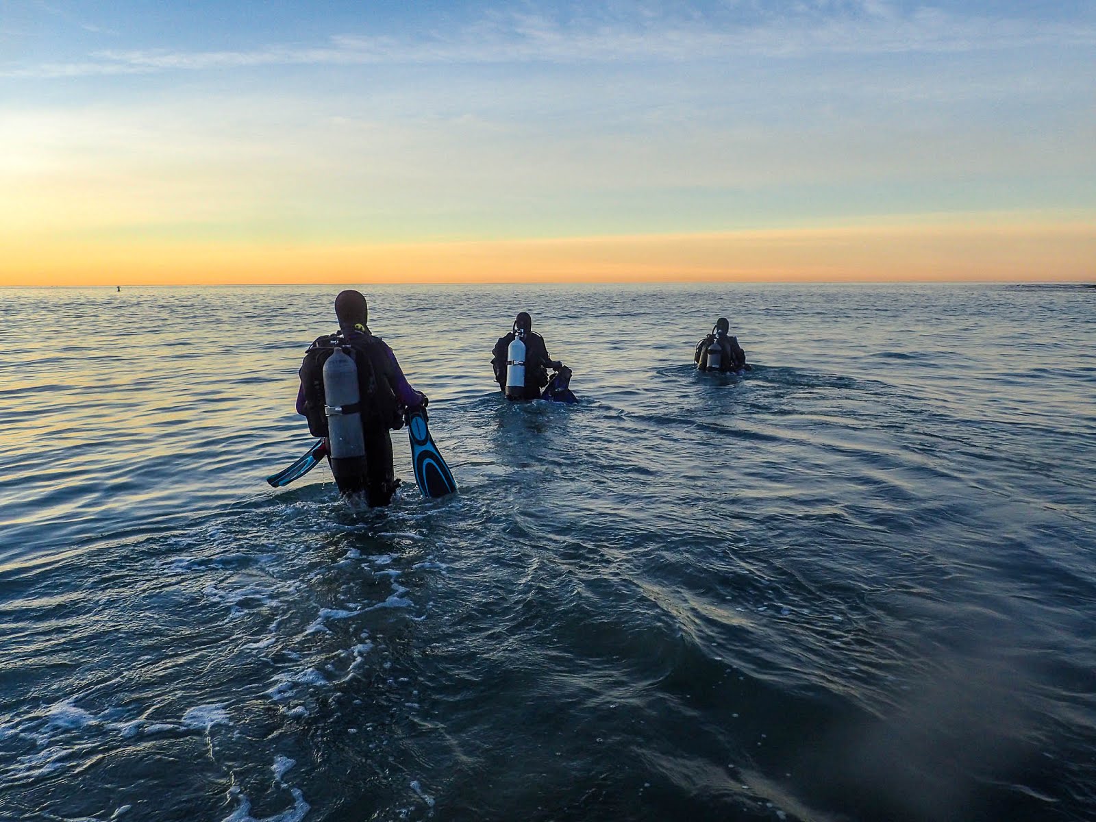 Diving Before Work At Shaw's Cove Laguna Beach - First Church of The Masochist