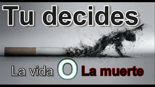 TUTORIAL DE LENGUA Y LITERATURA 8: ¿ COMO DISEÑAR UNA CAMPAÑA SOCIAL TUTORIAL DE LENGUA Y LITERATURA 8: ¿ COMO DISEÑAR UNA CAMPAÑA SOCIAL