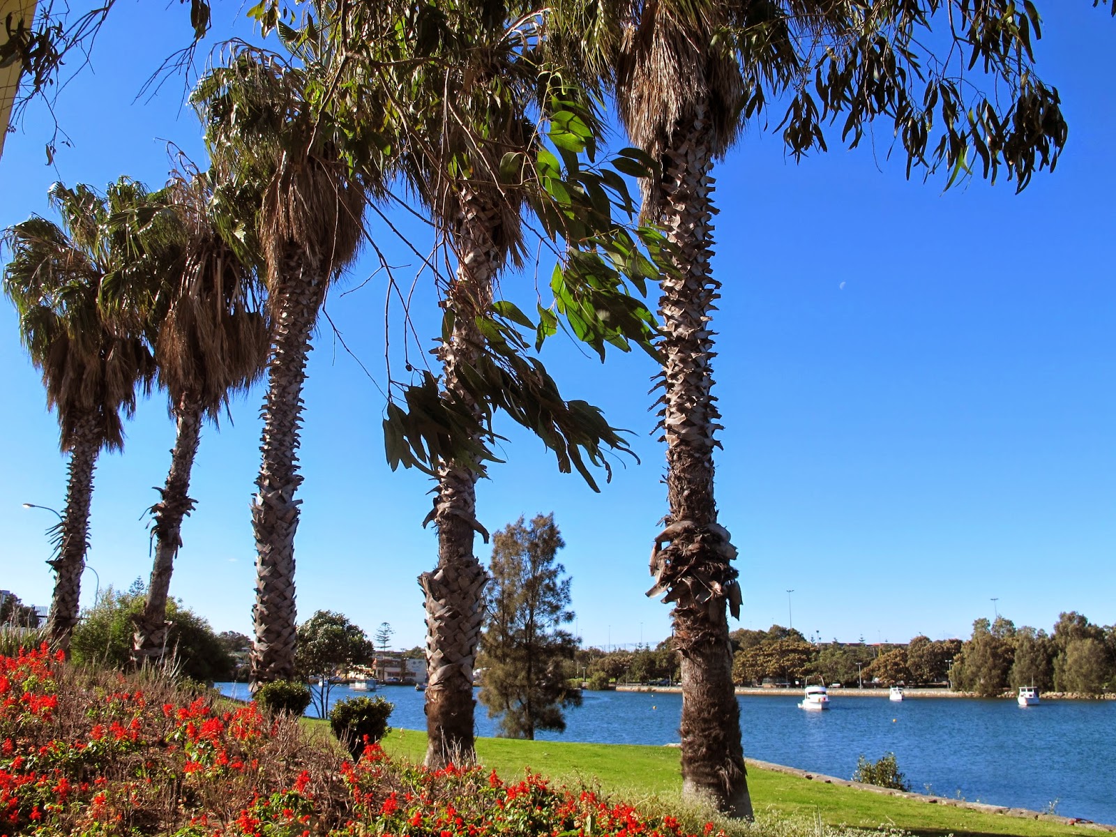 Sydney Daily Photo: Welcome to Rockdale
