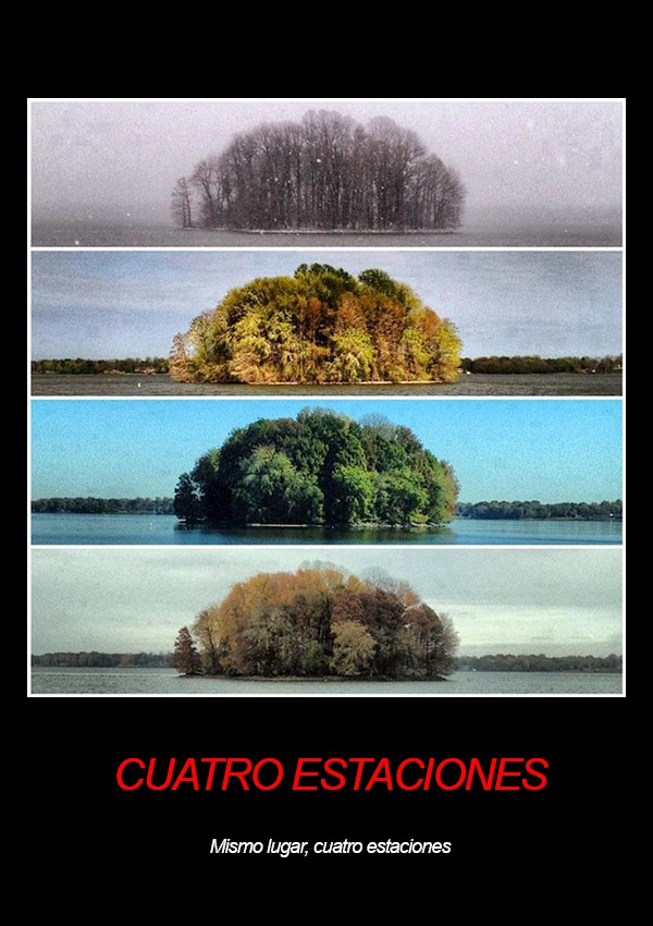 CUATRO ESTACIONES#N# | #N# The World