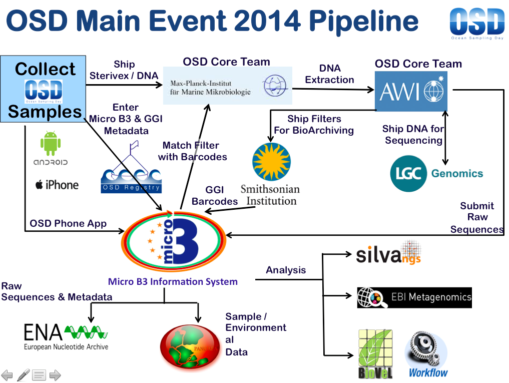 Ocean Sampling Day: April 2013