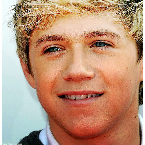 Niall - Imagui