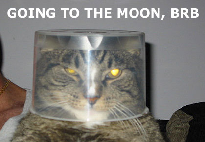 Going to the moon, brb | Funny Cat Pictures