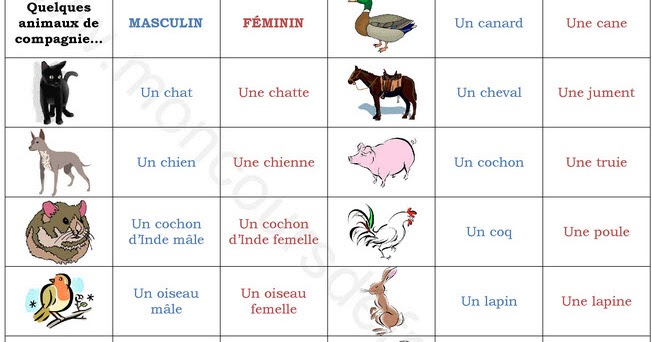 vocabulaire:animaux - bienvenues sur le Site cours francais