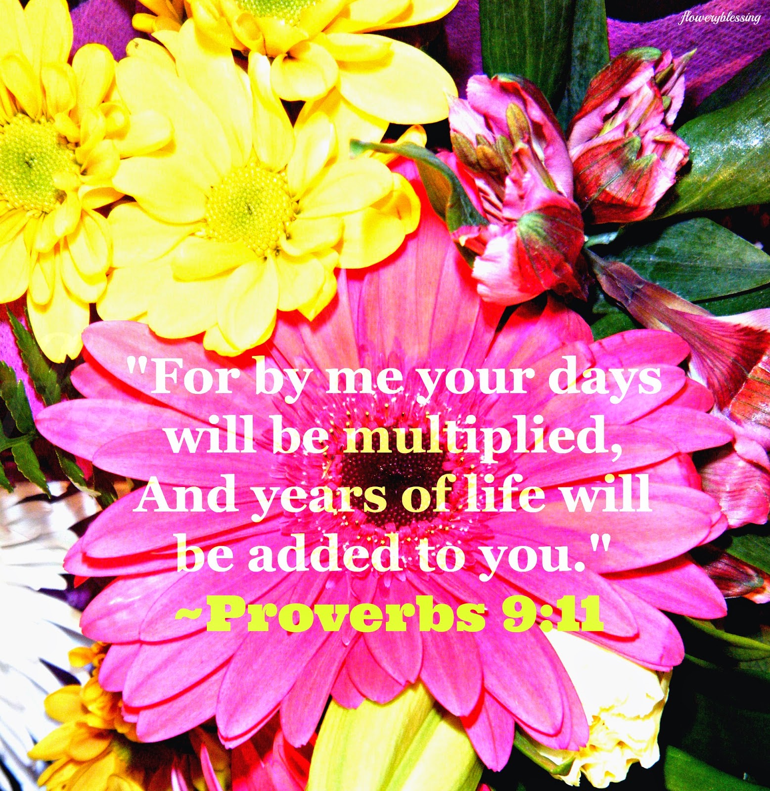 Flowery Blessing For By Me Your Days Will Be Multiplied And Years Of flowery-blessing-for-by-me-your-days-will-be-multiplied-and-years-of