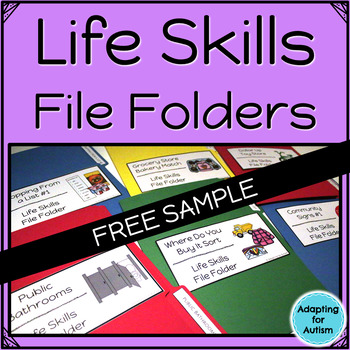 The Best of Teacher Entrepreneurs II: FREE MISC. LESSON - “FREE Life ...