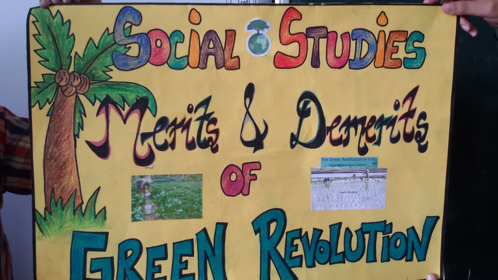 Class 9 Updates Group Work Green Revolution class-9-updates-group-work-green-revolution