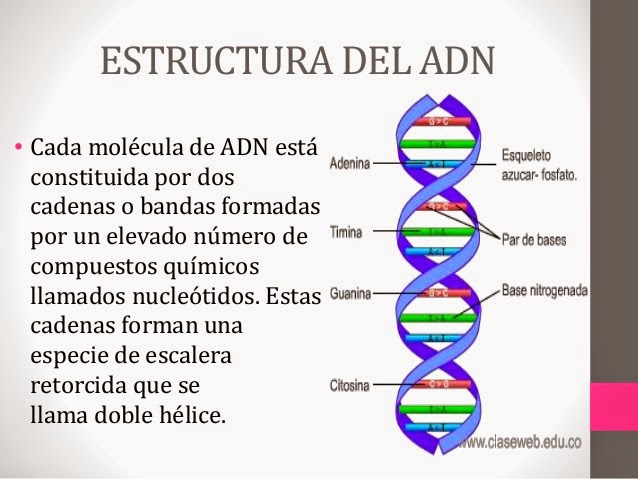 CIENCIAS DEL MUNDO CONTEMPORÁNEO