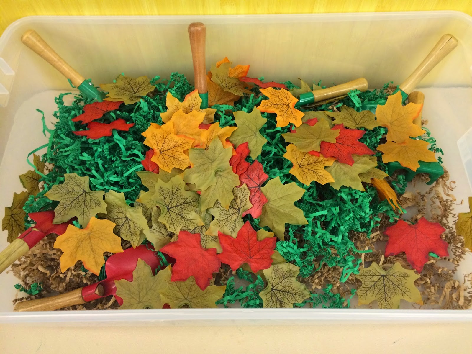 Literary Hoots: Storytime: Autumn Leaves