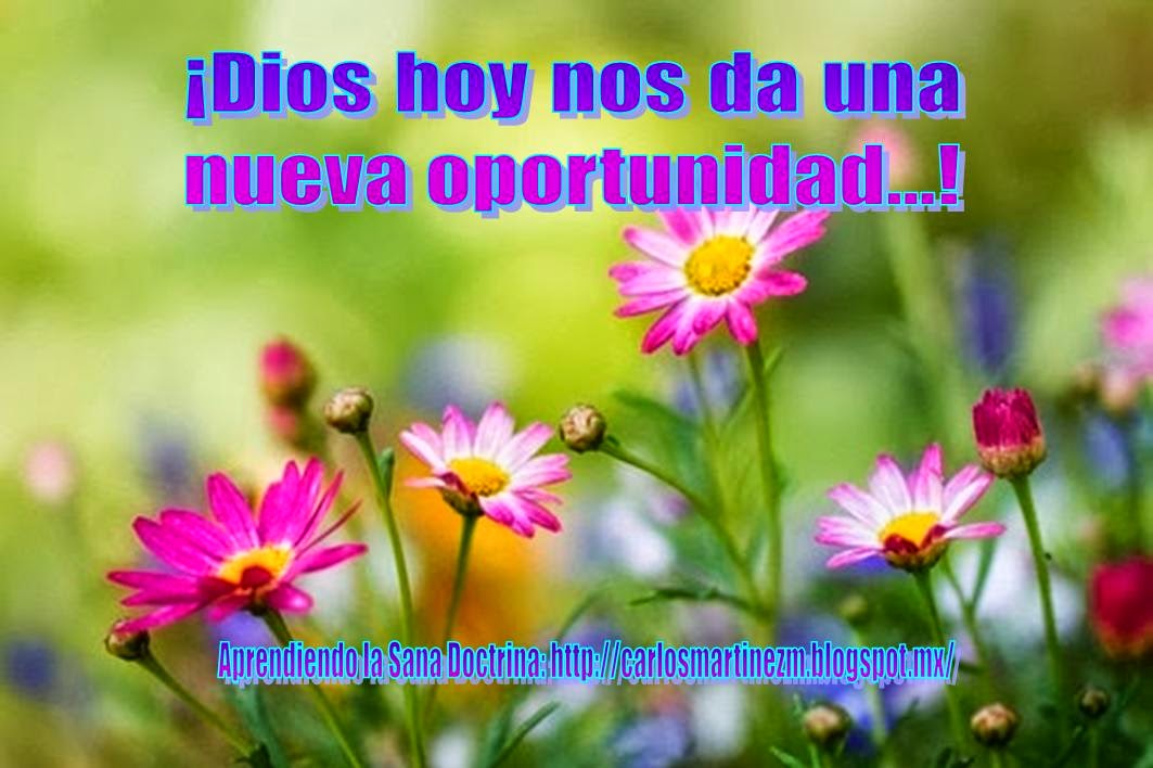 Aprendiendo la Sana Doctrina: ¡DIOS HOY NOS DA UNA NUEVA OPORTUNIDAD...!