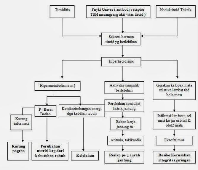 SISTEM ENDOKRIN : Hipertiroid