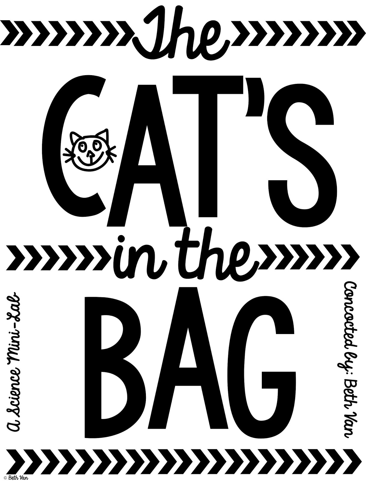 theteachyteacher: Science, Cat's In The Bag, & Being Quirky