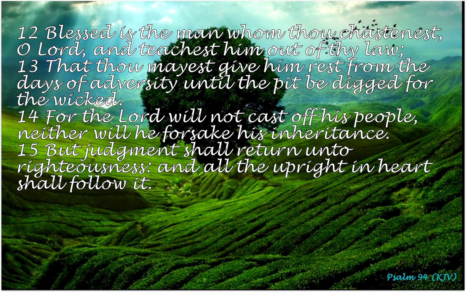 Red Pill Diaries Psalm 94 KJV red-pill-diaries-psalm-94-kjv