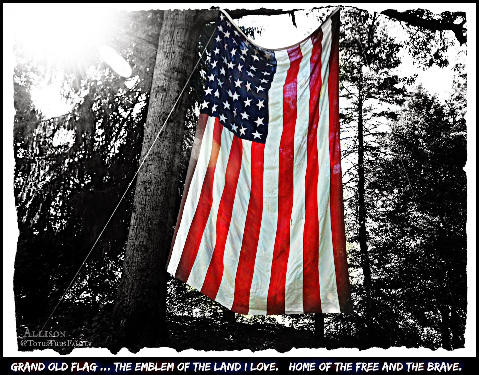 4th of July Flag - Emblem of the Land I Love - Totus Tuus Family ...
