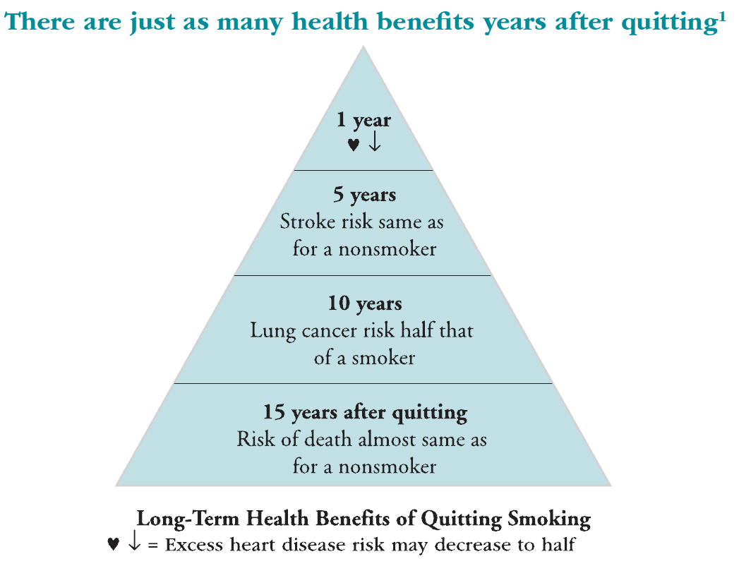 Health Benefits of Quitting Smoking | jabirhamidinfo Health Benefits of Quitting Smoking | jabirhamidinfo