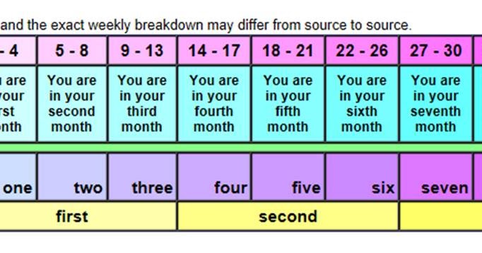Sheena s 9 Months Then Some Counting Trimesters Months Weeks sheena-s-9-months-then-some-counting-trimesters-months-weeks