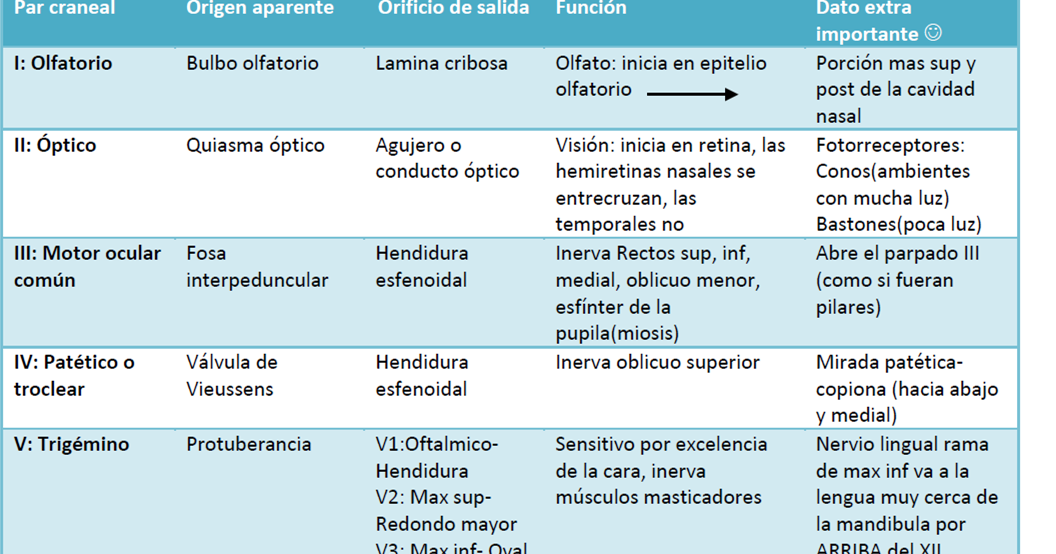 Principios de Medicina: Cuadro de Pares Craneales
