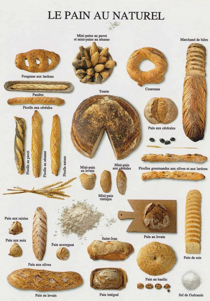 General Picture Group Multiple Of Bread At Natural Pictures general-picture-group-multiple-of-bread-at-natural-pictures